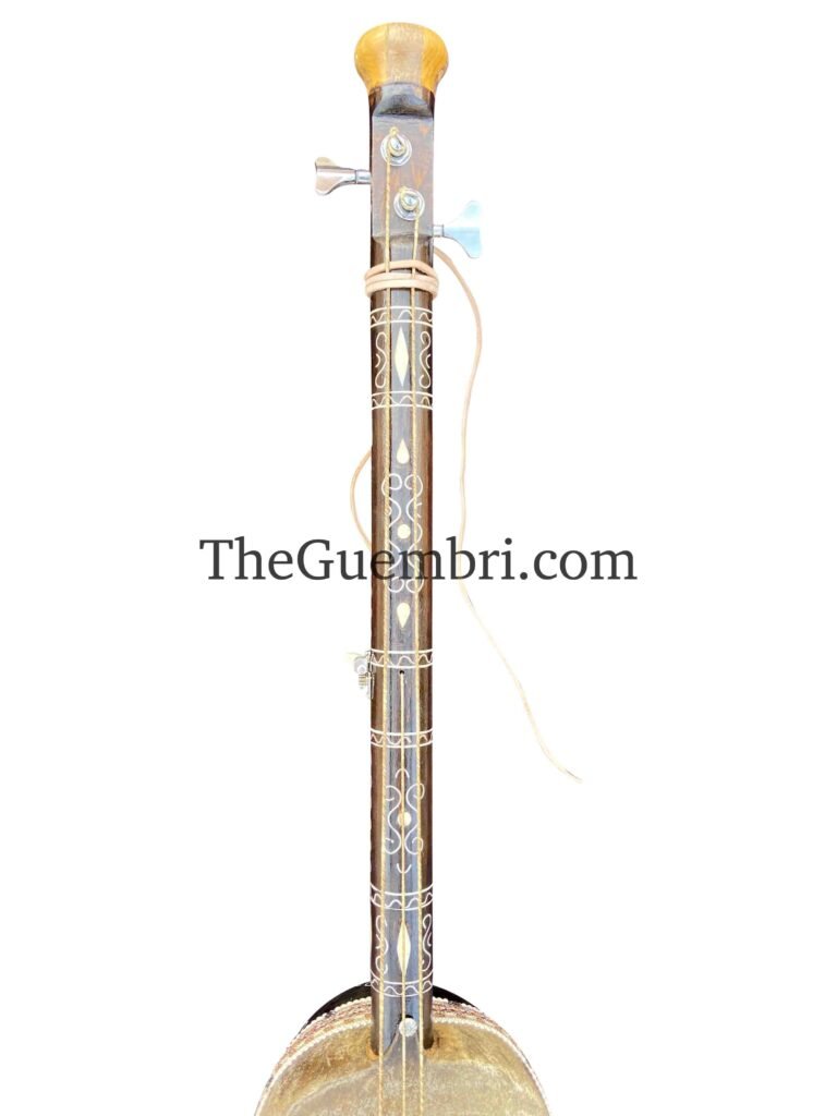 Buy guembri Instrument