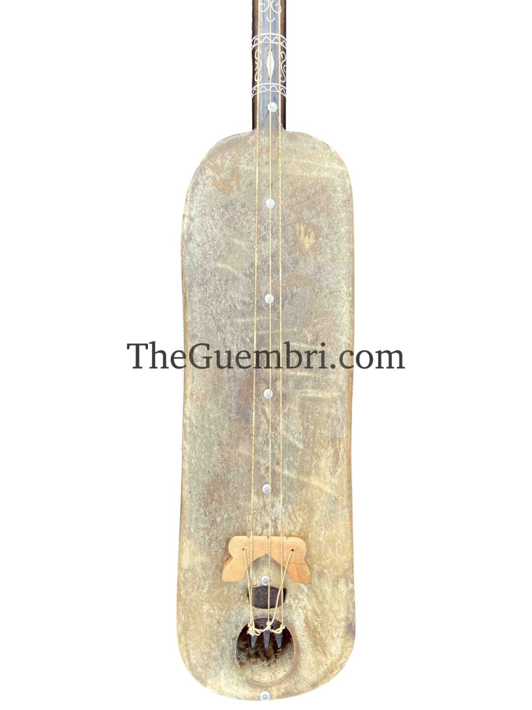 Buy guembri Instrument