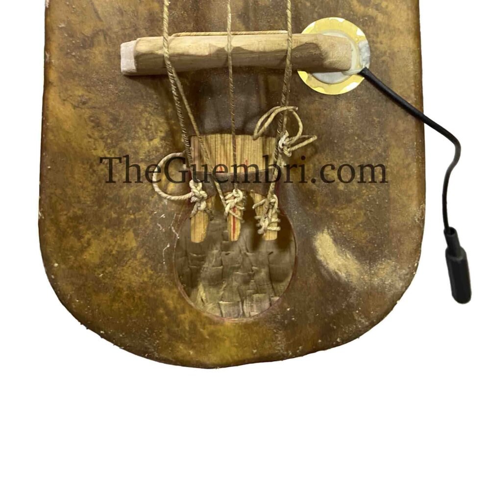 Guembri Electric Instrument